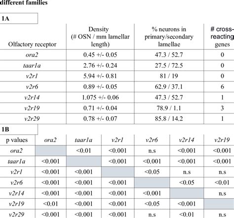 Quantitative Evaluation Of Expression For Olfactory Receptor Genes From Download Scientific