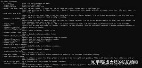 Onnx Runtime优化transformer模型的传统解决方案 知乎