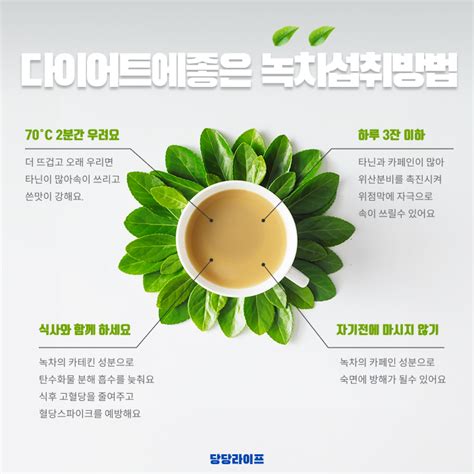 다이어트에 탁월한 녹차의 효능 과 녹차 섭취방법 • 당당라이프