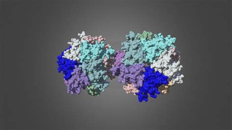 Gtp Cyclohydrolase I Pdb 1gtp 3d Model By Interactive 3d Data Proteinsimulation C92d621