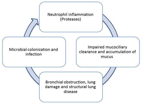 Types Of Bronchiectasis