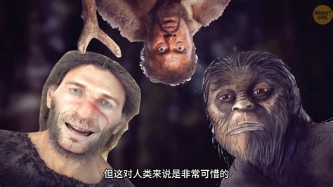 如何用notung分析基因家族复制与丢失事件？ 知乎