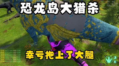 猫猫儿【合集30】 恐龙岛大猎杀：母龙带一群小龙发育，倍感压力山大差点累哭！！ 猫猫儿 恐龙岛 Youtube