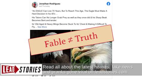 Fact Check Eagles Do NOT Live To 70 Break Own Beaks Pluck Selves