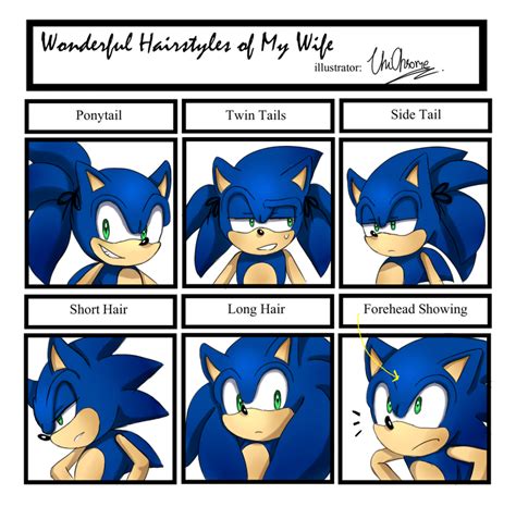 Sonic Hairstyles Meme Sonic The Hedgehog Photo 37798450 Fanpop