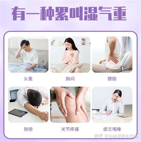 有一种累叫湿气重拿什么拯救湿哒哒的你 知乎