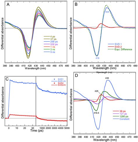 8 A Raw Transient Absorption Spectra Of H93c Mb At Different Time