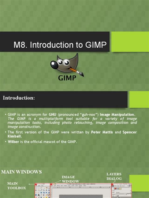 M8 Introduction To Gimp Pdf Graphics Window Computing