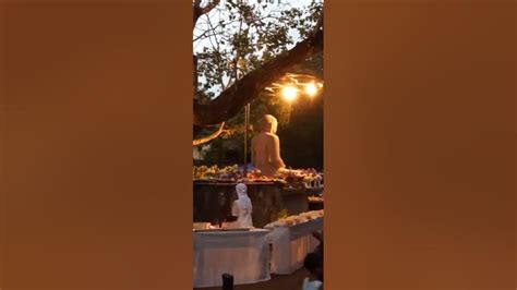 තංගල්ල වනවාස කුඩාවිහාරය දෙතිස්ඵල බෝරුක අභියස🌕🌏 Youtube