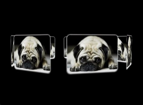 3d Perspective Image Rotator With Pure Css Css Script