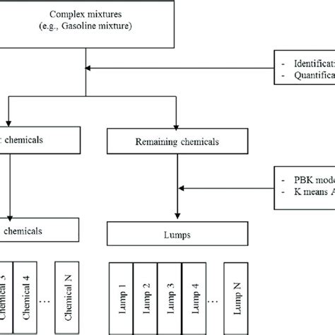 Flow Chart Depicting The Top Down Pbk Modelling Approach To Evaluate Download Scientific