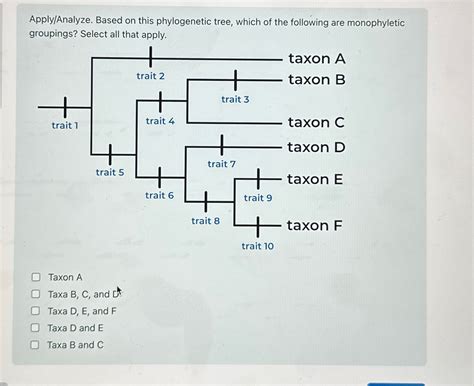 Solved Apply Analyze Based On This Phylogenetic Tree Chegg