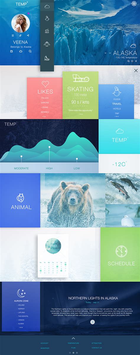 UI Design TEMP Behance