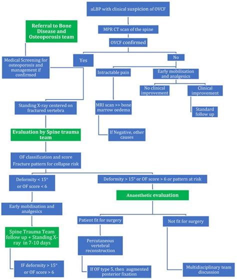 Jcm Free Full Text Multidisciplinary And Coordinated Management Of Osteoporotic Vertebral