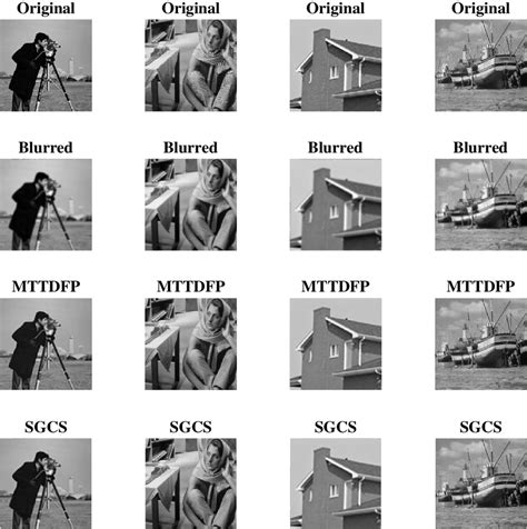 Authentic Picture First Row Blurred And Noisy Picture Second Row