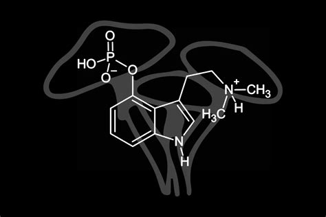 Psilocybin Molecule Structure
