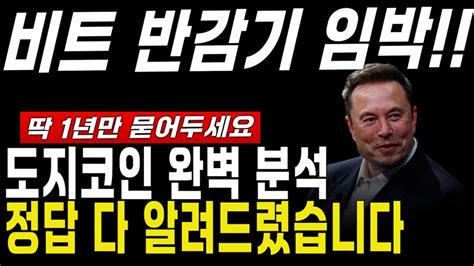 도지코인 전망 비트코인 반감기 임박 빅 이벤트 조만간 시작됩니다 도지코인 현재 가격대비 최소 4배상승 최대 15배까지 지금이 기회입니다 Youtube