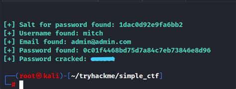 Tryhackme Simple Ctf Mr Wido S Blog
