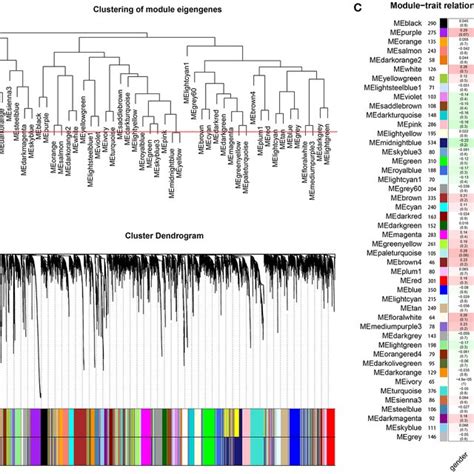Identification Of Modules Associated With The Clinical Characteristics