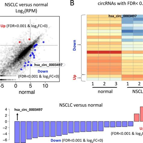 The Differentially Expressed Circrnas In Nsclc Compared To Matched Download Scientific Diagram