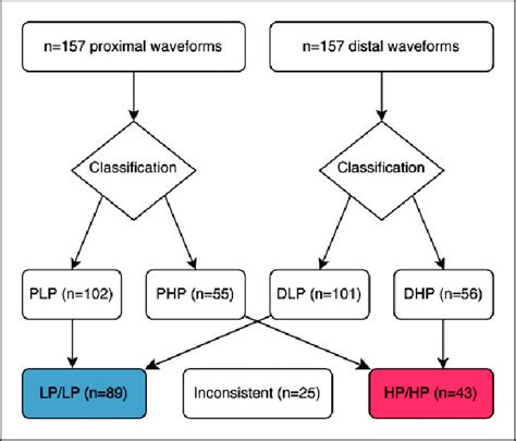 Dhp Classification On Sale Innoemengpsuacth