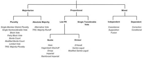 Electoral Systems Different Types Of Voting Method Political Science Solution