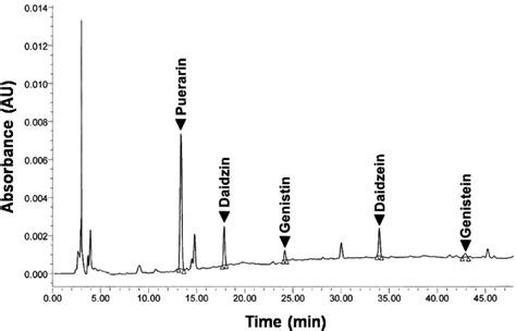 Hplc Chromatogram Of The P Mirifica Extract Revealing Its Principal