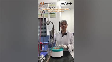 Hydrodistillation Method For Extraction Of Essential Oils Youtube