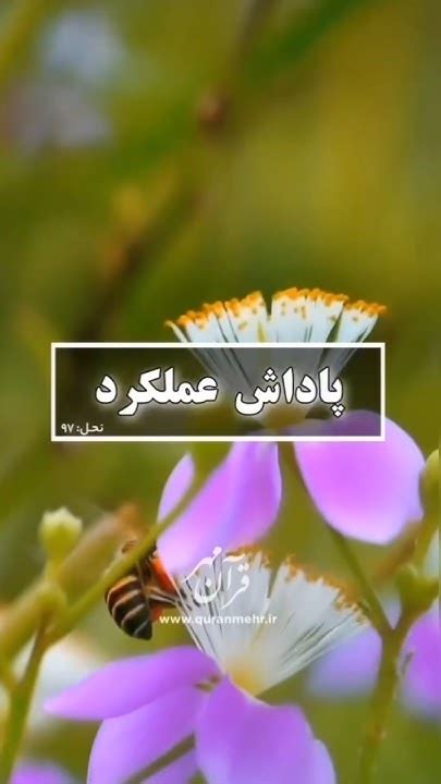 سوره نحل ، گوینده؛بهروزرضوی Youtube