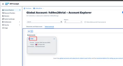 How To Create A Sap Hana Database Instance In Sap Btp By İlker Tekin Medium