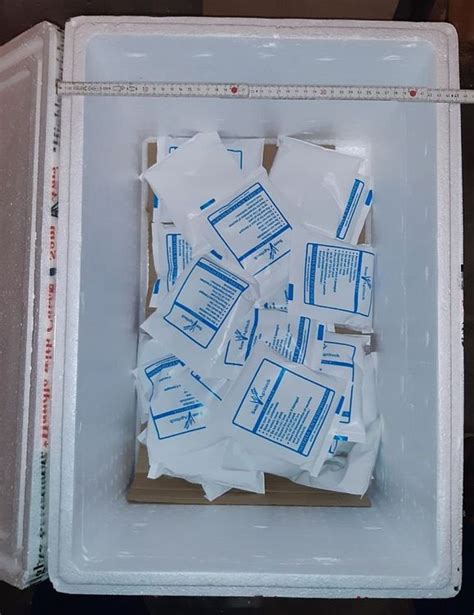 Frischhaltebox Tortenbox Kühlbox Thermobox Styropor Isolier Kaufen Auf Ricardo