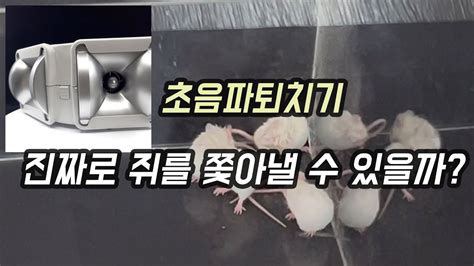 초음파퇴치기 정말 효과있을까 쥐퇴치 방법으로 쓸만할지 직접 실험해보았습니다 Youtube