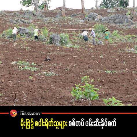 The Irrawaddy မိုးဗြဲ၌ စပါးရိတ်သူများ စစ်တပ် ဖမ်းဆီးနှိပ်စက် ဧရာဝတီ၊ စက်တင်ဘာ ၂၂၊ ၂၀၂၅ ရှမ်း