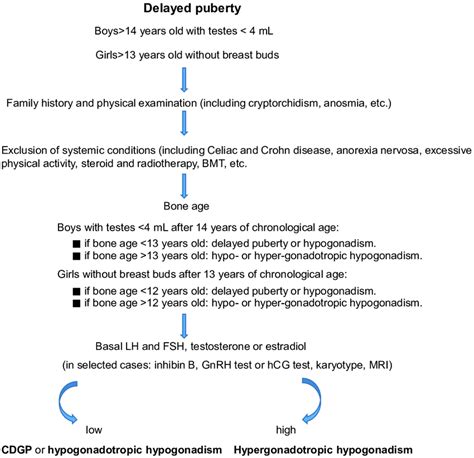 Delayed Puberty In Girls