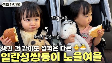 Eng 성격은 유전 환경 일란성쌍둥이지만 성격은 다른 노을과 여울😋 생후19개월 일란성쌍둥이 아기 육아 브이로그💚 Youtube