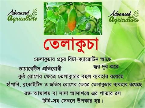 আধ্যাত্মিক ও আধ্যাত্মিক ও আয়ুর্বেদিক চিকিৎসা