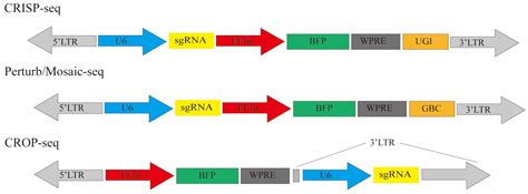 The Current Situation And Development Prospect Of Whole Genome Screening