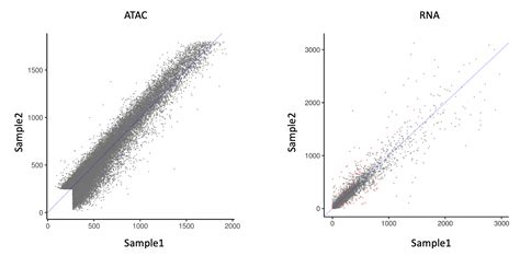 Using Deseq2 For Atac Analyses