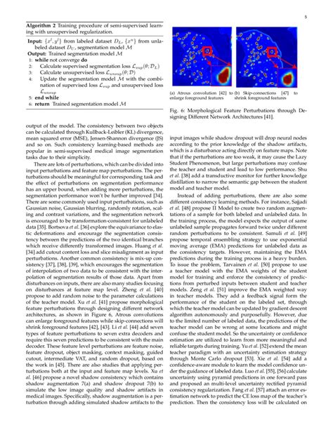 Learning With Limited Annotations A Survey On Deep Semi Supervised