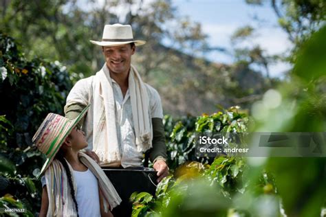 여자는 커피 농장에서 작물을 수집 하는 그녀의 아버지를 돕는 가족에 대한 스톡 사진 및 기타 이미지 가족 농부 수확 Istock