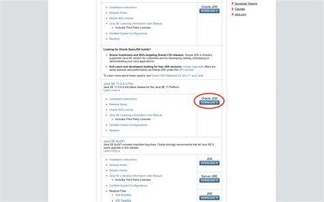 Oracle Jdk11 インストール手順＜windows向け＞ It入門書籍 スッキリシリーズ