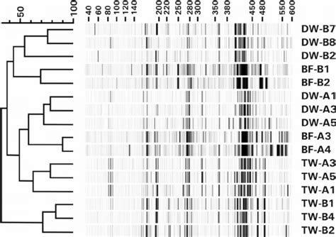 Dendrogram Created By Unweighted Pair Group Method Using Average