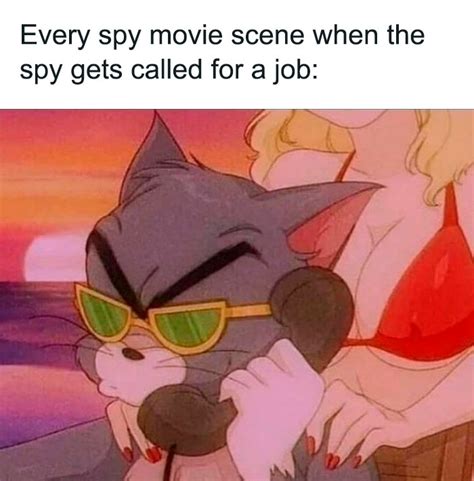 60 Tom And Jerry Memes That You Can Relate To Bored Panda