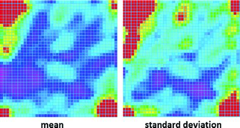 fig c17 mean and standard deviation value map of secondorder density