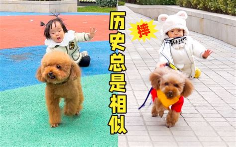 宝宝遛狗有多心酸时隔两个月还是被狗狗拉倒人类幼崽太难了 萌星人火龙果 萌星人火龙果 哔哩哔哩视频