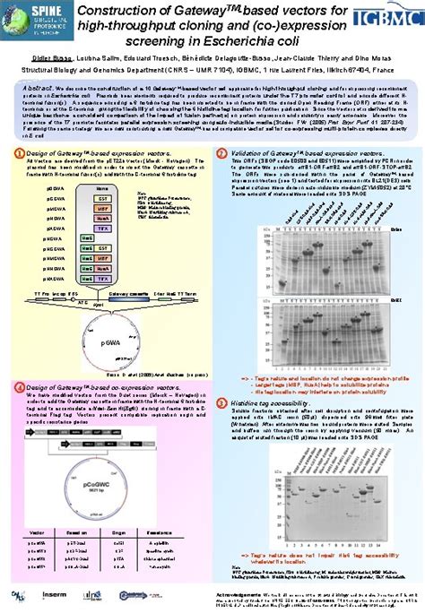 Construction Of Gateway Tmbased Vectors For Highthroughput Cloning