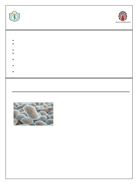 Science Sample Paper Class 8 Pdf Sound Fires