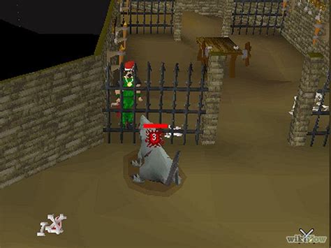 Old Babe Runescape Bot Lalapacats