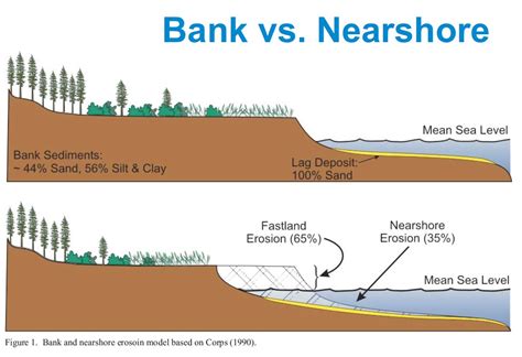 Bank Erosion Virginia Institute Of Marine Science