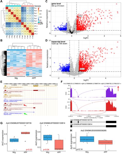 Differentially Genes And Transcripts Analysis A Correlation Analysis